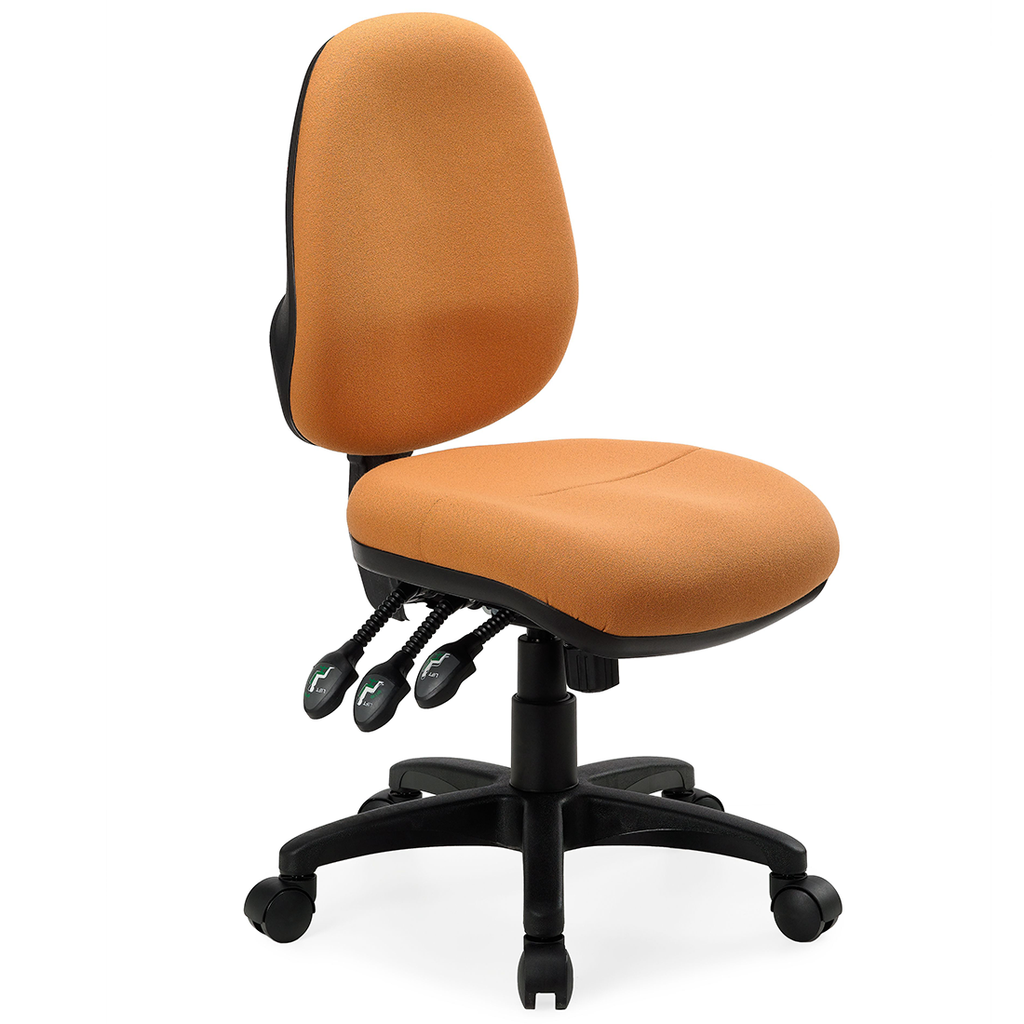 Delta Comfort Duo - Ergonomic Dual Density Chair | Switch Office ...